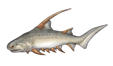 Parexus | Wiki Dino | Fandom