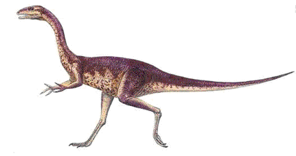 Elaphrosaurus | Wiki Dino | Fandom