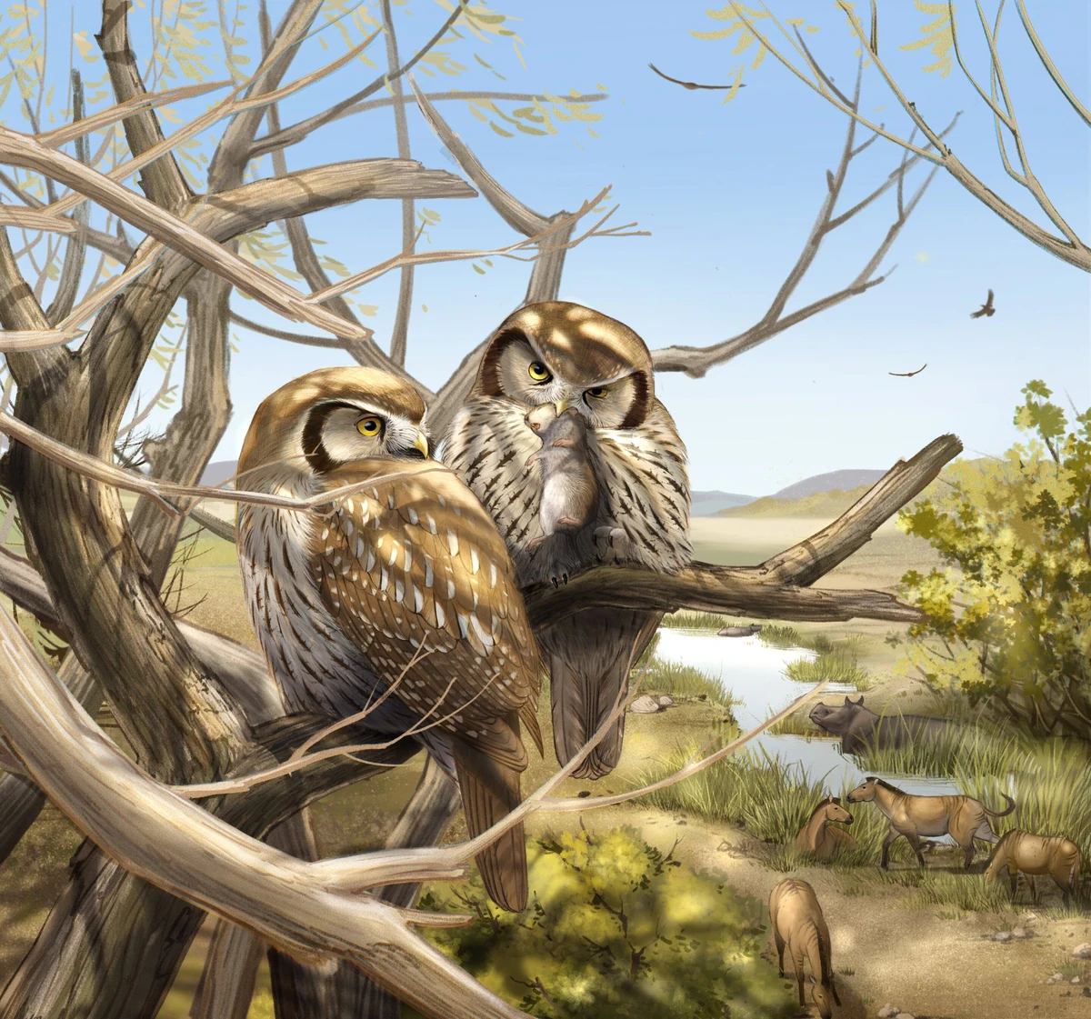 Miosurnia | Dinosaur Wiki | Fandom