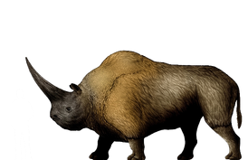 Elasmotherium | Dinosaur Wiki | Fandom