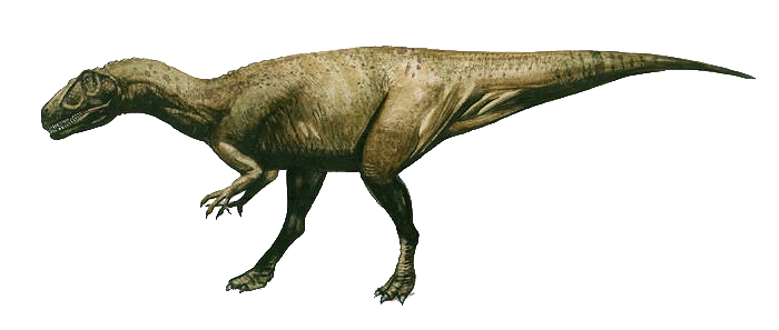 Eustreptospondylus | Dinosaur Wiki | Fandom