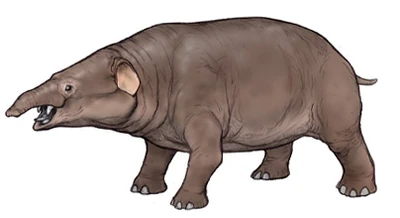 Barytherium | Wiki Dino | Fandom