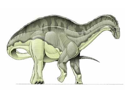 Histriasaurus | Dinosaur Wiki | Fandom