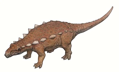 Pawpawsaurus | Wiki Dino | Fandom