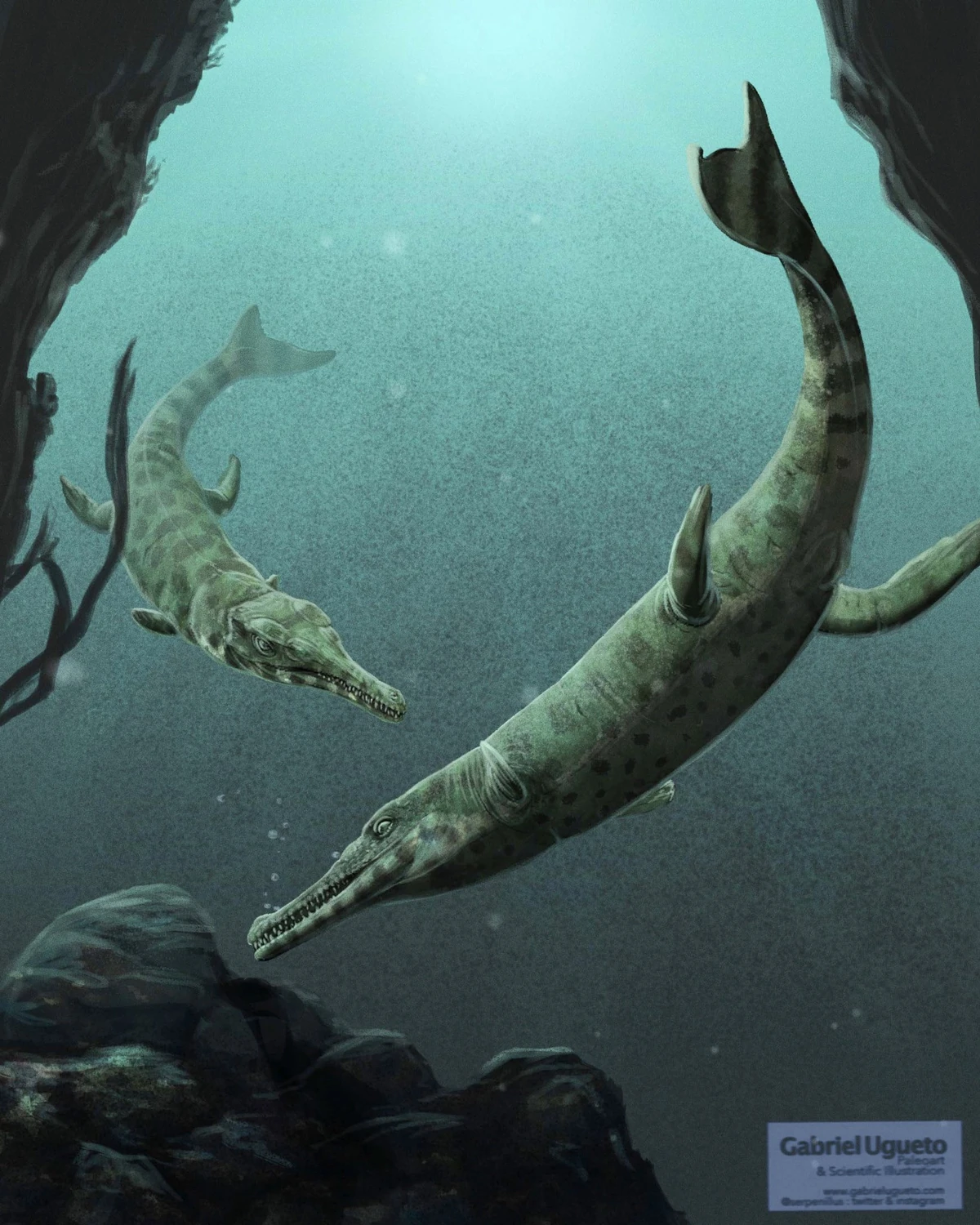 Cricosaurus | Dinosaur Wiki | Fandom