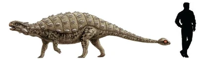 Talarurus | Wiki Dino | Fandom