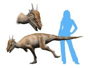 Stygimoloch | Dinosaur Wiki | Fandom