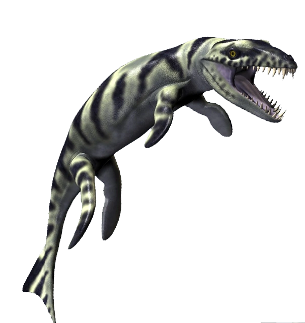 Dakosaurus | Dinosaur Wiki | Fandom