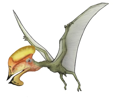 Europejara | Wiki Dino | Fandom