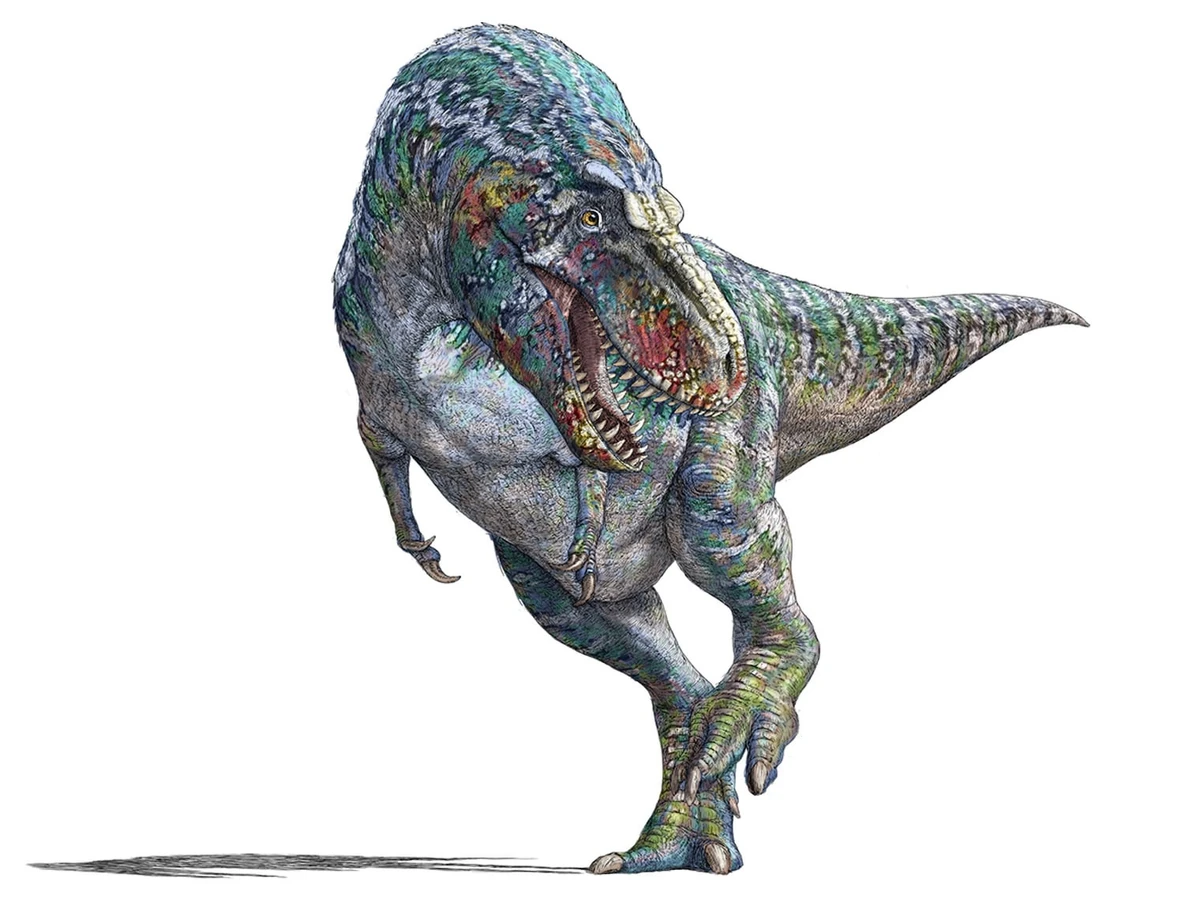 Daspletosaurus/Gallery | Dinosaur Wiki | Fandom