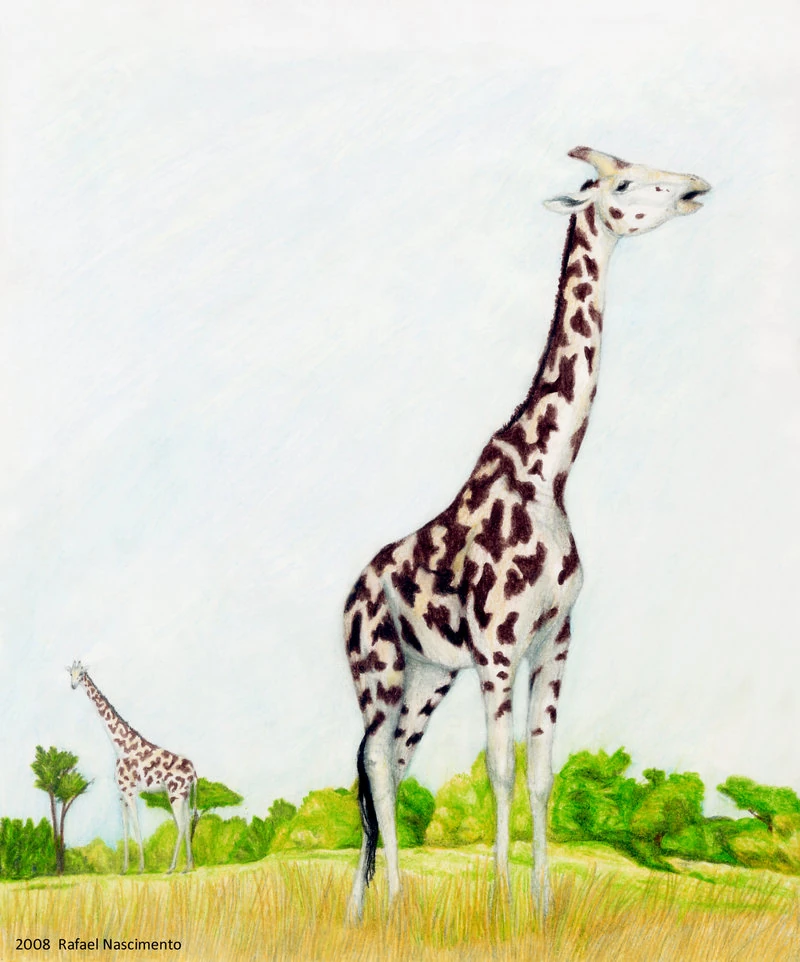 Giraffa jumae | Dinosaur Wiki | Fandom