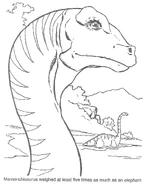 Mamenchisaurus/Gallery | Dinosaur Wiki | Fandom