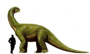 Damalasaurus | Wiki Dino | Fandom