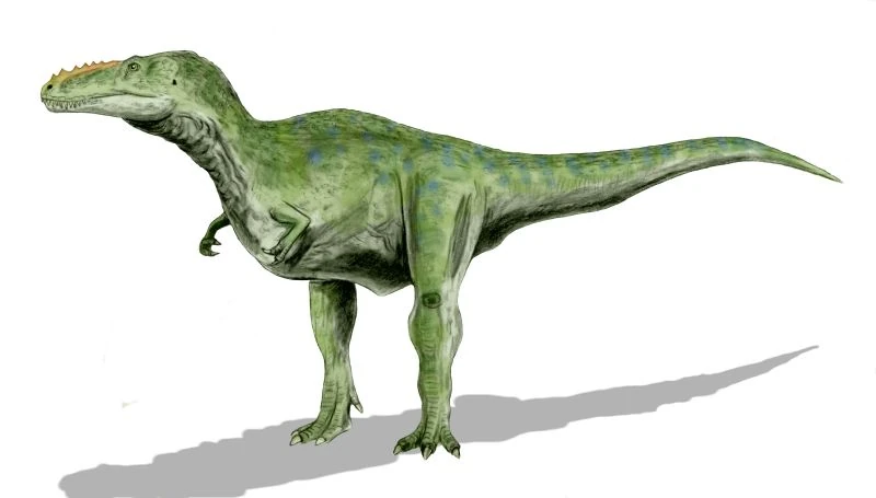 Alioramus/Gallery | Dinosaur Wiki | Fandom