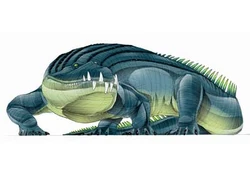 Rutiodon | Wiki Dino | Fandom