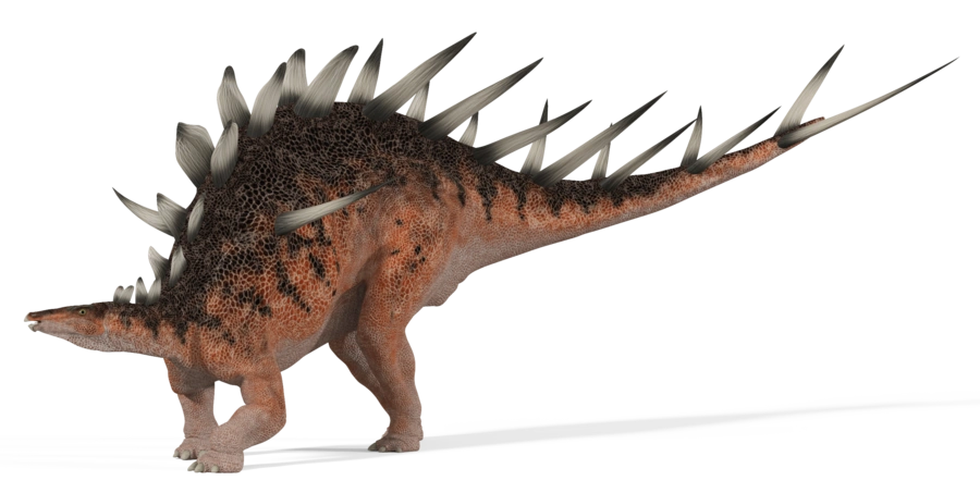 Kentrosaurus/Gallery | Dinosaur Wiki | Fandom