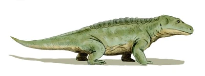 Cacops | Wiki Dino | Fandom