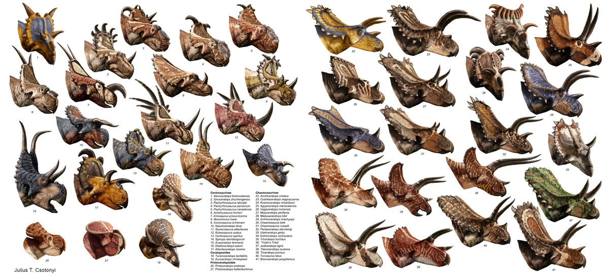 Category:Ceratopsians | Dinosaur Wiki | Fandom