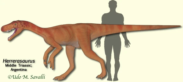 Herrerasaurus/Gallery | Dinosaur Wiki | Fandom