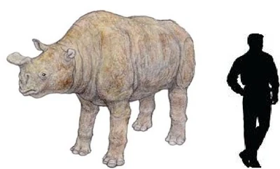 Rhinotitan | Wiki Dino | Fandom