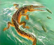 Mesosaurus/Gallery | Dinosaur Wiki | Fandom