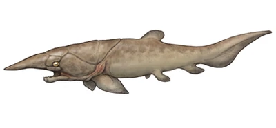 Rolfosteus | Wiki Dino | Fandom