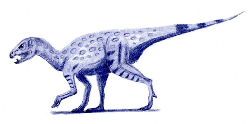 Heterodontosaurus/Gallery | Dinosaur Wiki | Fandom