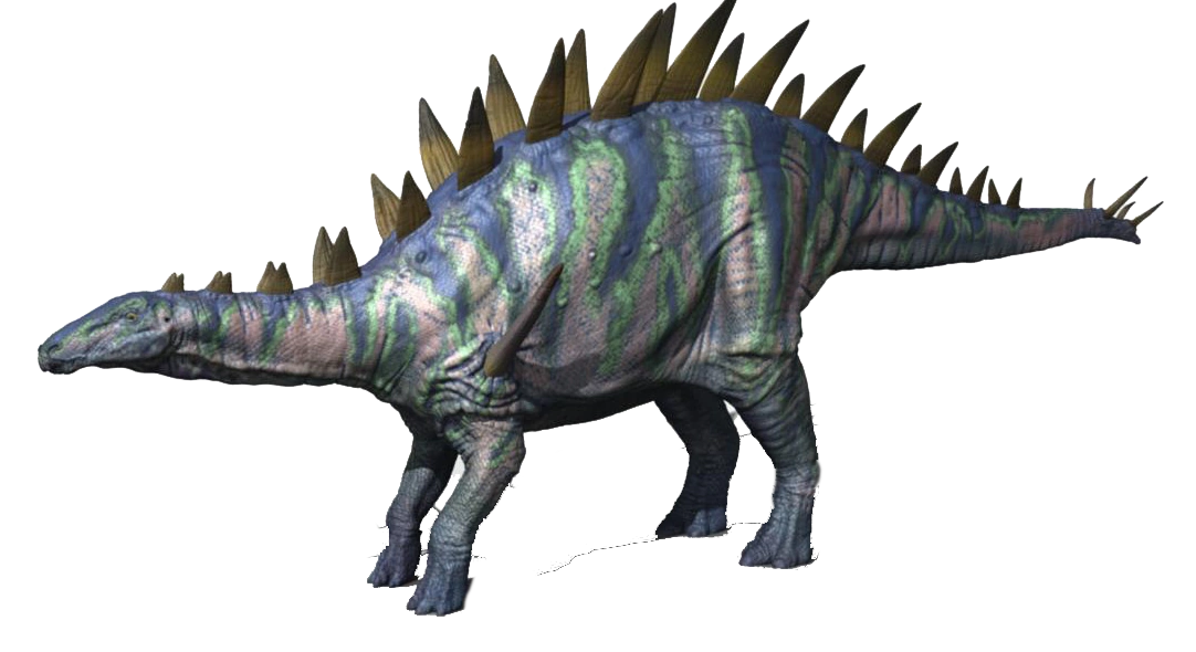 Tuojiangosaurus | Dinosaur Wiki | Fandom