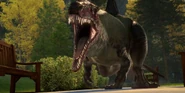 Altispinax | Dinosaur Wiki | Fandom