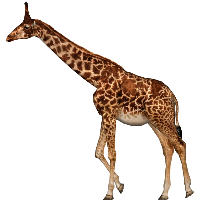 Honanotherium | Wiki Dino | Fandom