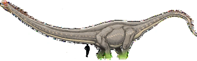 Mamenchisaurus | Wiki Dino | Fandom