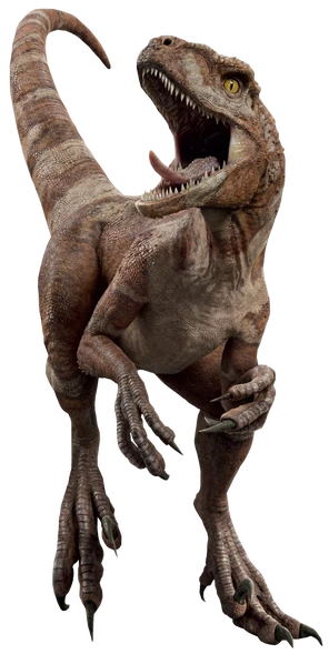 Atrociraptor | Dinosaur Wiki | Fandom
