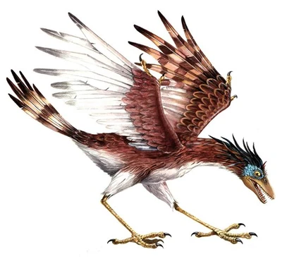 Sinornis | Wiki Dino | Fandom