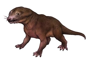 Probainognathus | Wiki Dino | Fandom