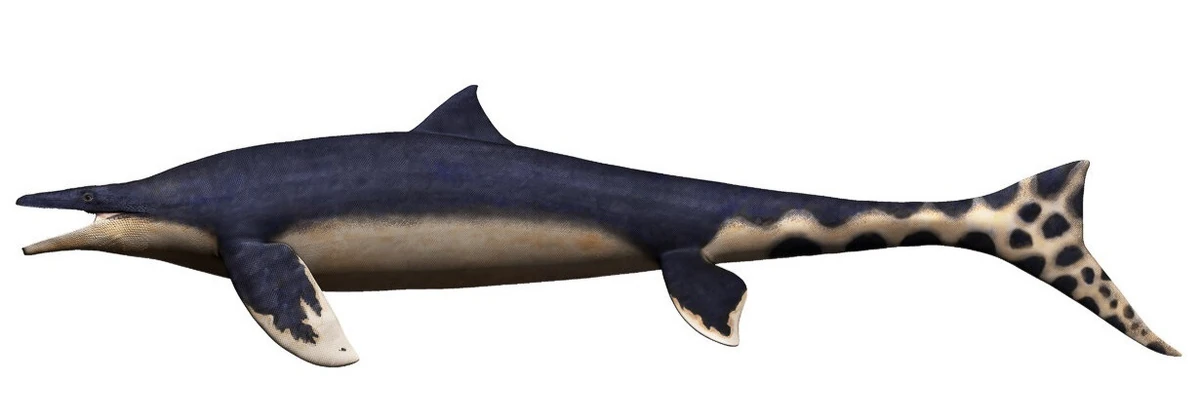 Megapterygius | Dinosaur Wiki | Fandom