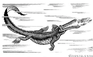 Mesosaurus/Gallery | Dinosaur Wiki | Fandom