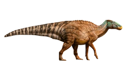 Edmontosaurus | Dinosaur Wiki | Fandom