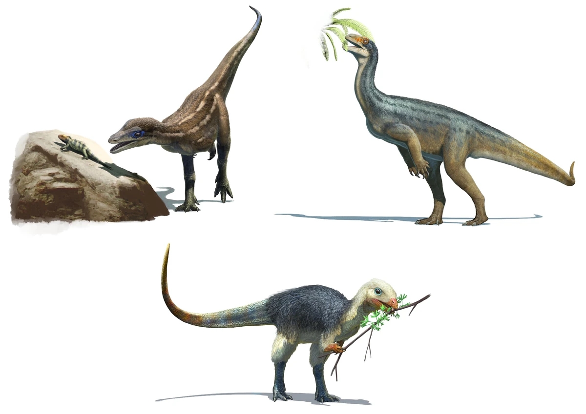 Thecodontosaurus | Dinosaur Wiki | Fandom