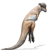 Pachycephalosaurus/Gallery | Dinosaur Wiki | Fandom