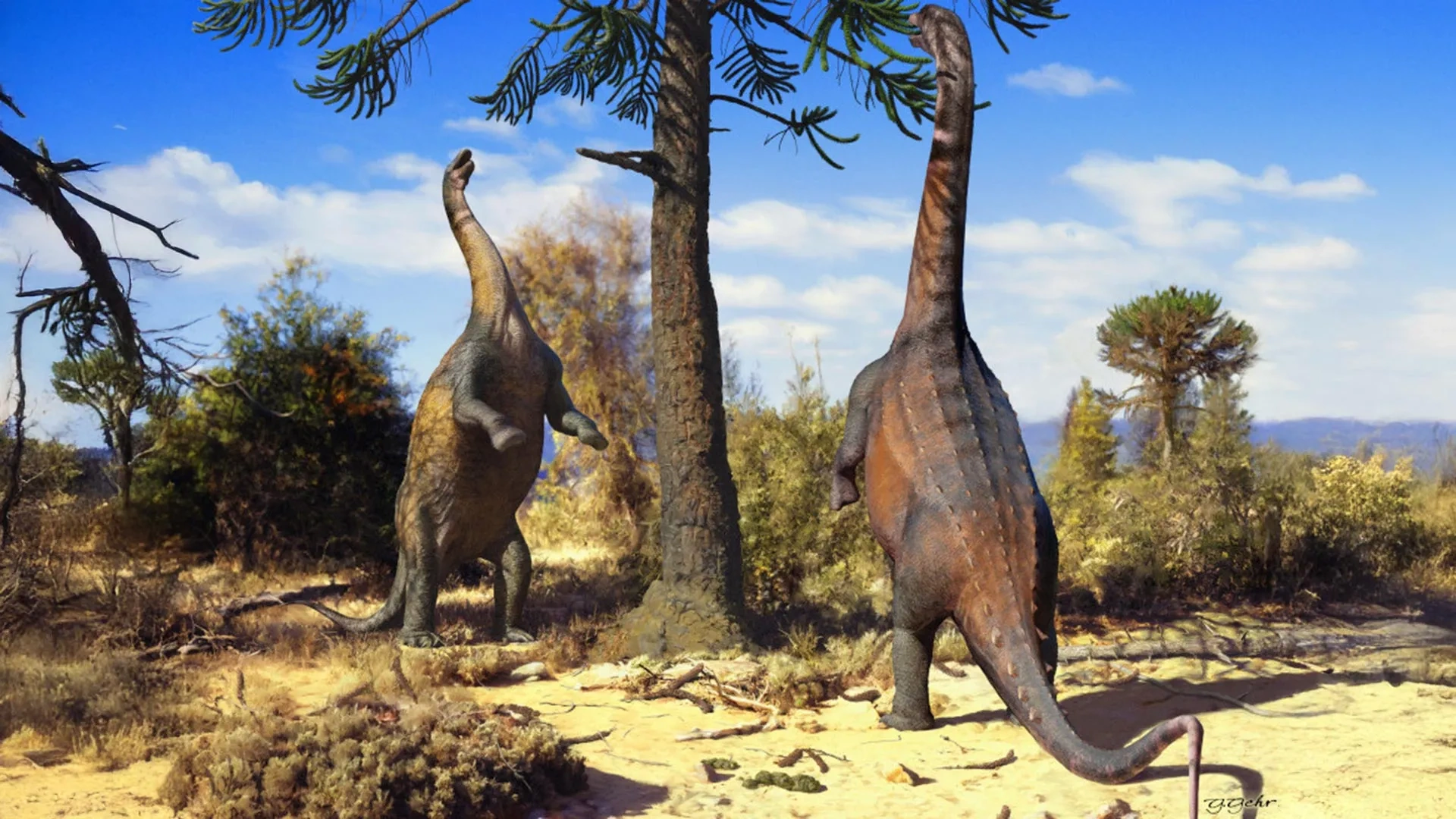 Neuquensaurus | Dinosaur Wiki | Fandom