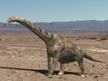 Cedarosaurus | Wiki Dino | Fandom
