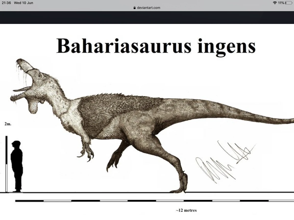 Bahariasaurus | Dinosaur Wiki | Fandom