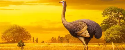 Pachystruthio | Wiki Dino | Fandom