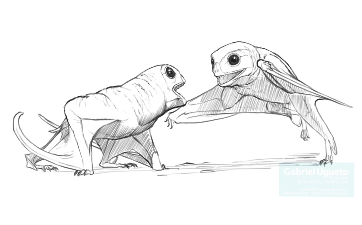 Anurognathus/Gallery | Dinosaur Wiki | Fandom