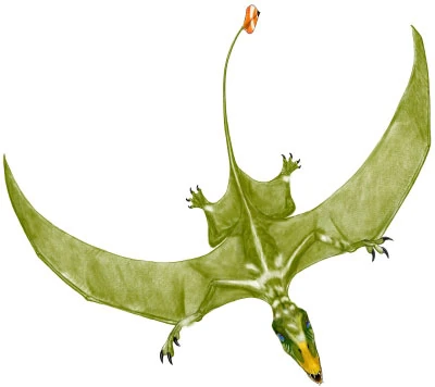Dimorphodon | Wiki Dino | Fandom