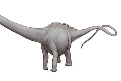 marshosaurus facts