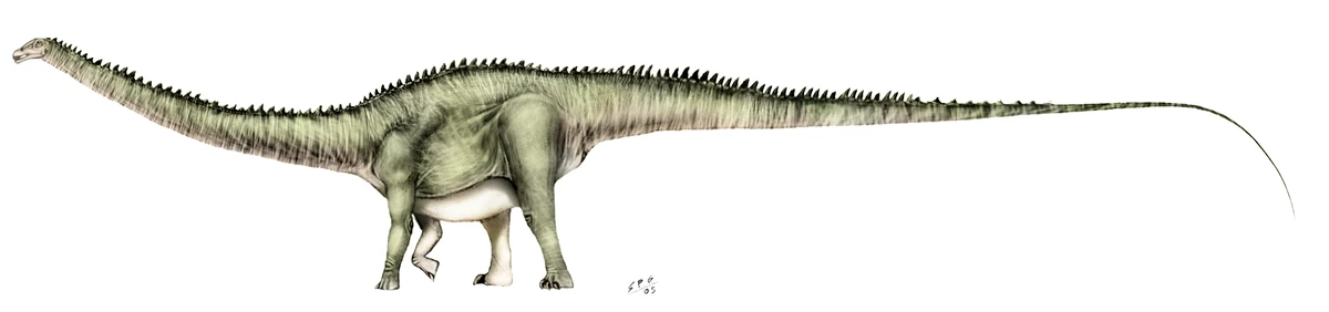 Diplodocus | Wiki Dino | Fandom
