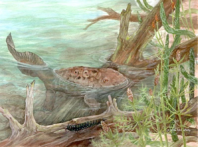 Inherpeton | Wiki Dino | Fandom