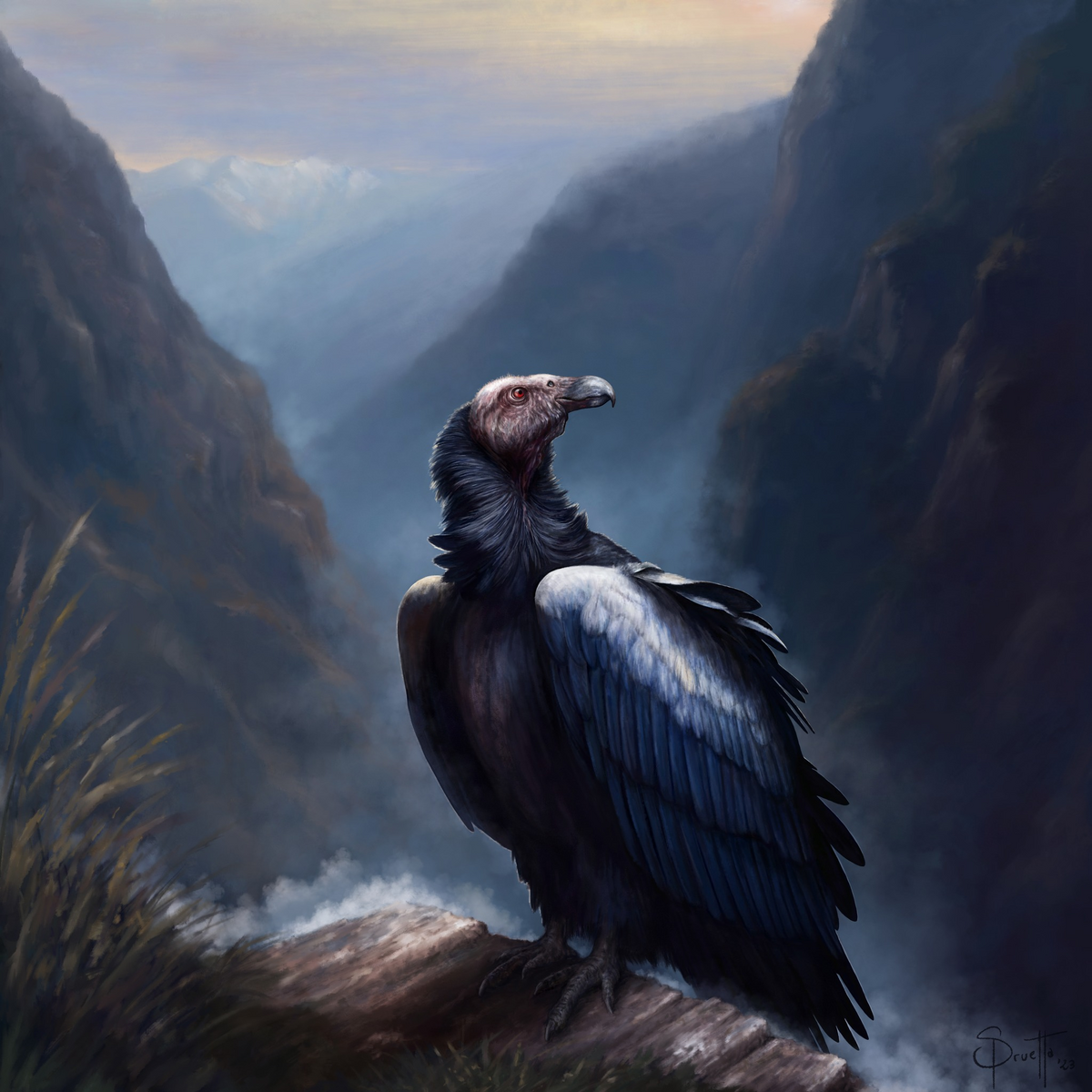 Messis Condor Dinosaur Wiki Fandom