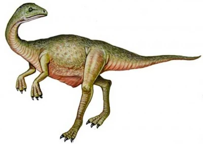 Timimus | Wiki Dino | Fandom